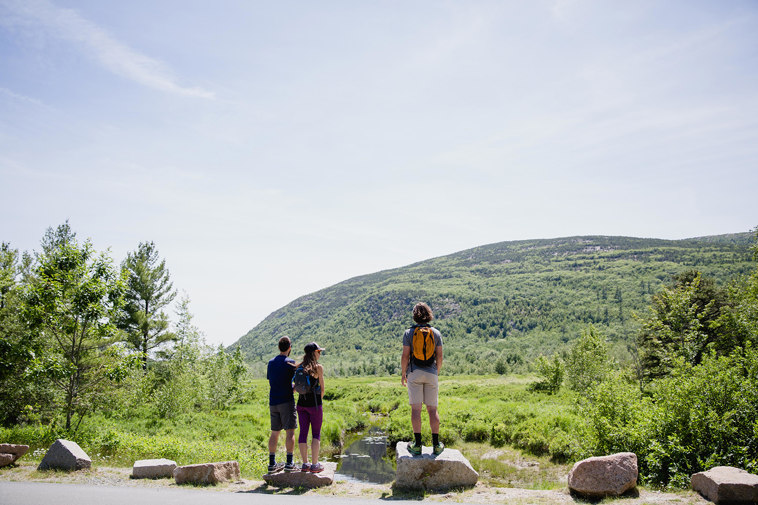 Spring in Acadia National Park - Visit Maine