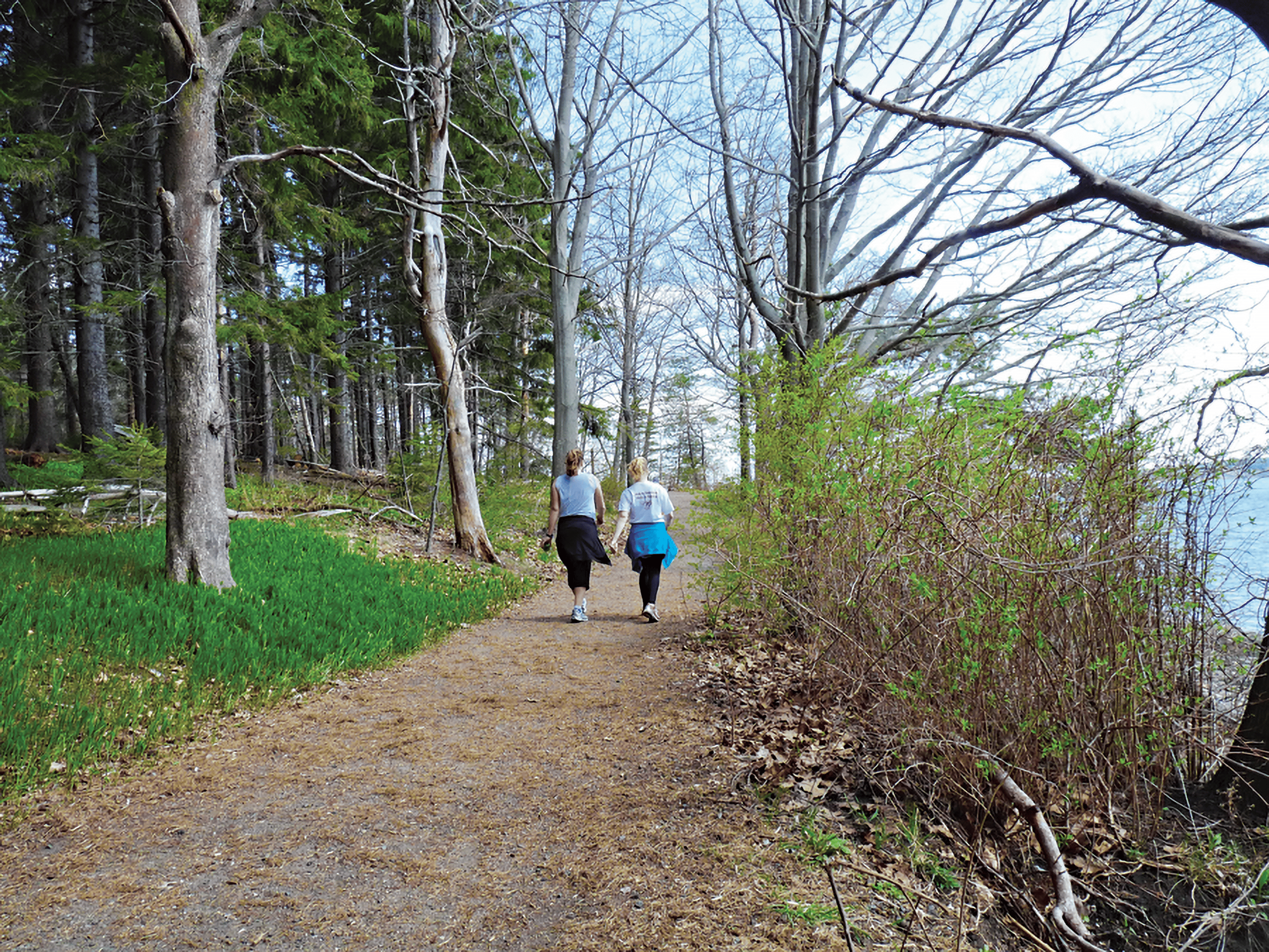 Mackworth Island - Visit Maine - Visit Maine