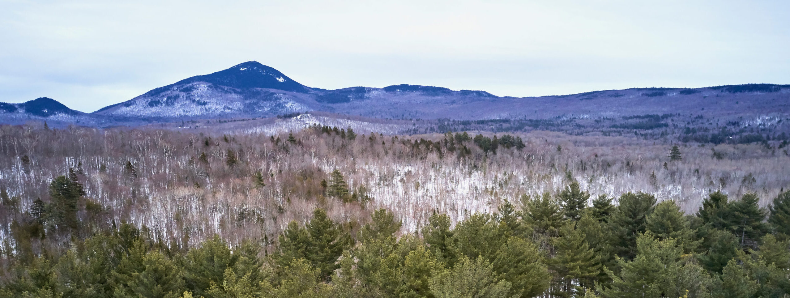 Mt. Blue State Park - Visit Maine - Visit Maine