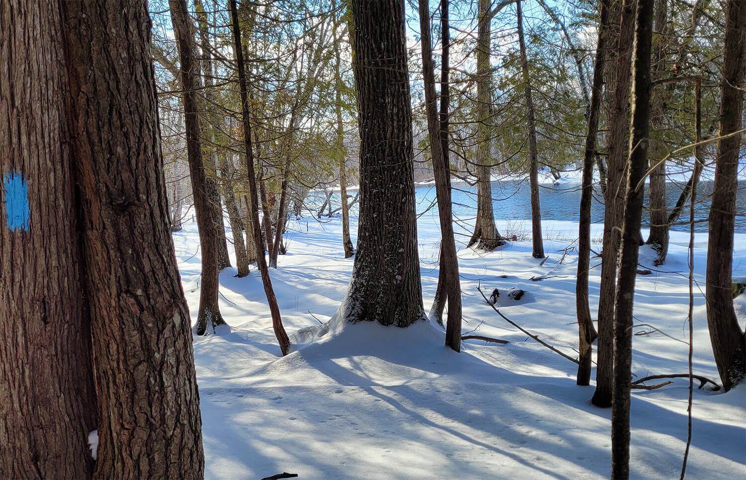 Hirundo Wildlife Refuge - Visit Maine - Visit Maine