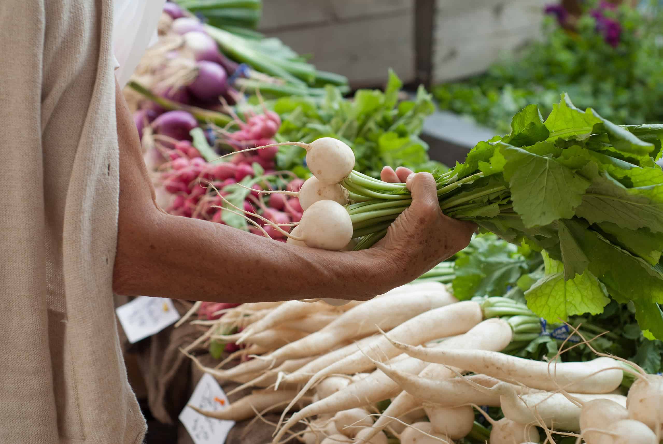 Winter Farmers’ Markets in Maine - Visit Maine