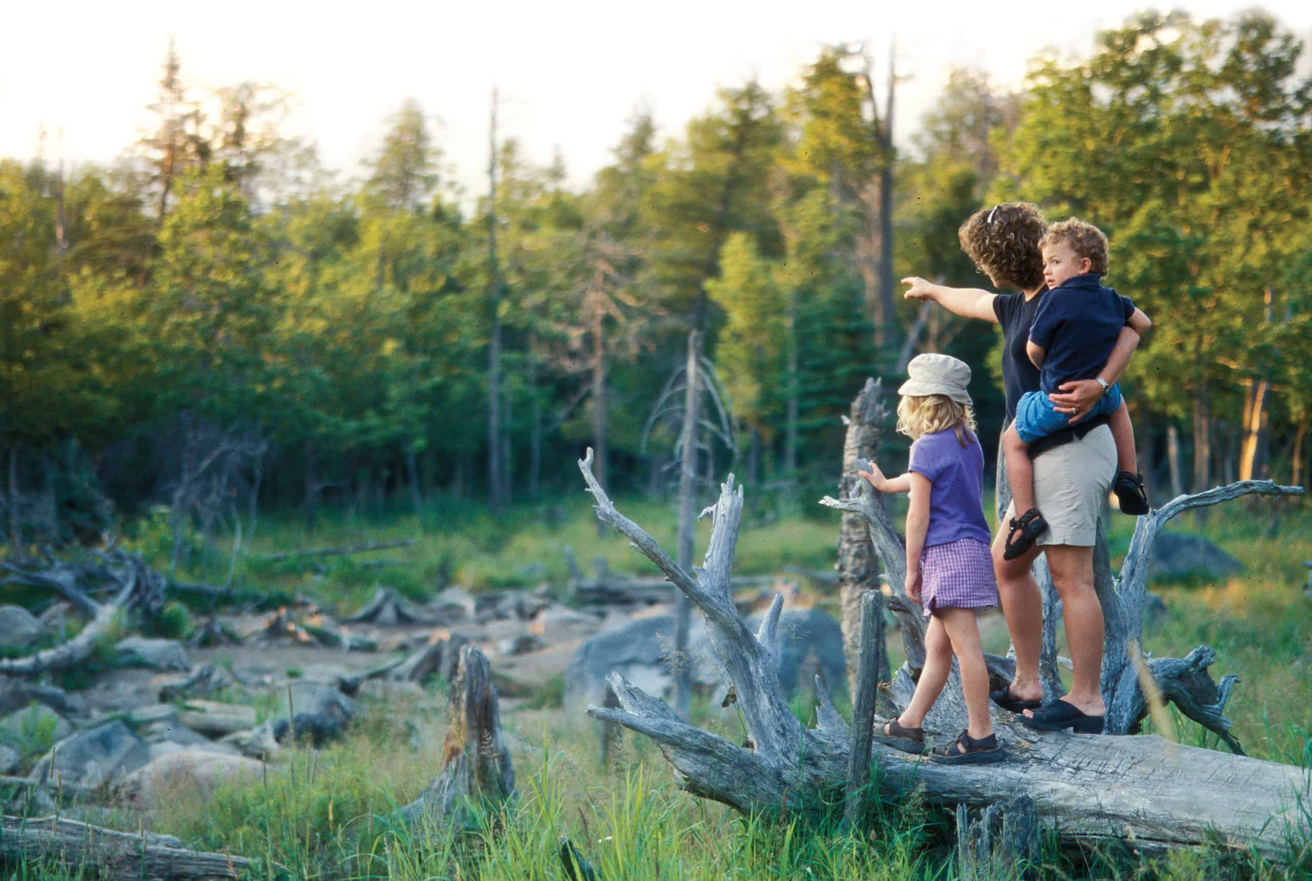 Moose Point State Park - Visit Maine - Visit Maine
