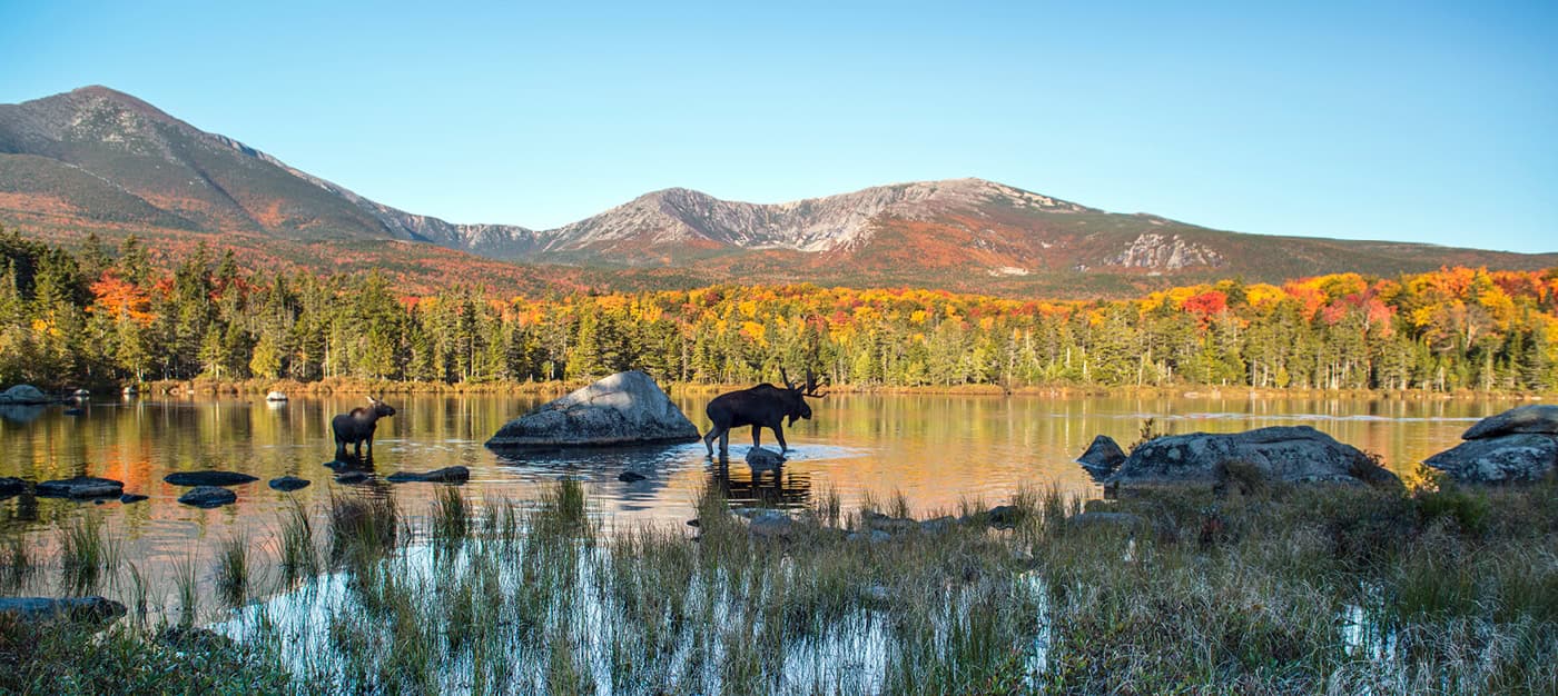Explore Maine - Visit Maine