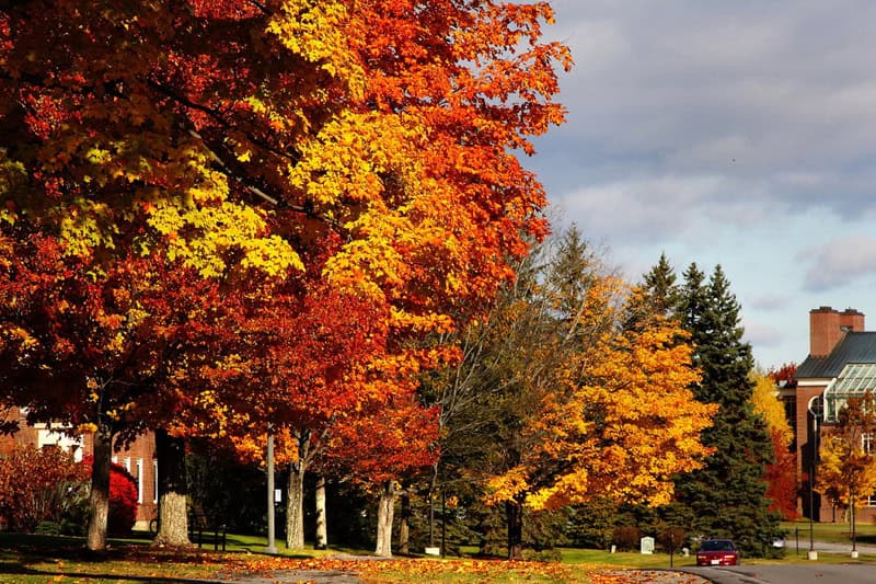 Things to See and Do in Waterville, Maine - Visit Maine