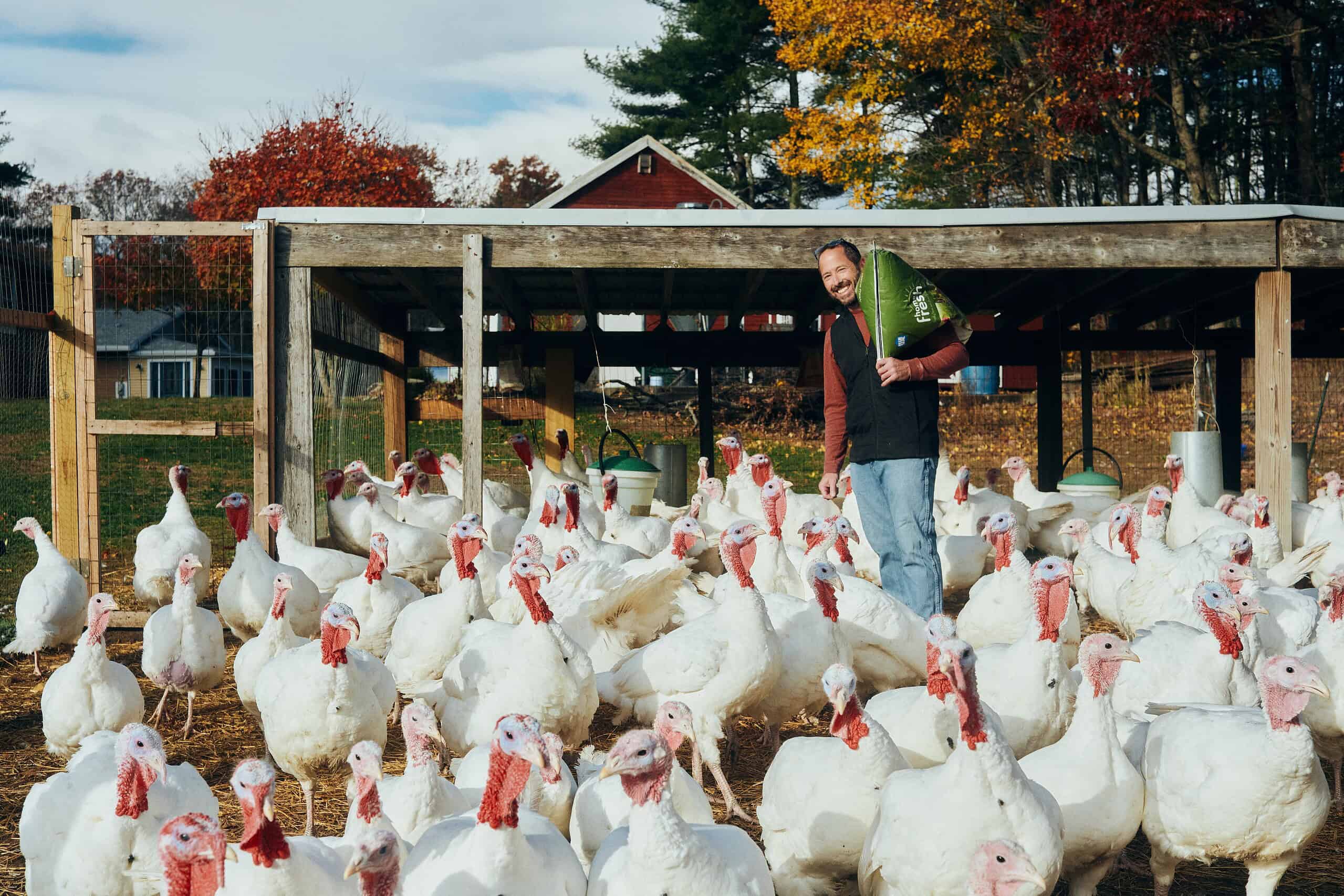 Meet the Maine Turkey Farmers - Visit Maine